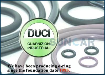 China BP O Ring Seal Kit for sale