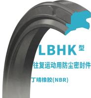 China LBHK Dust Seal for sale