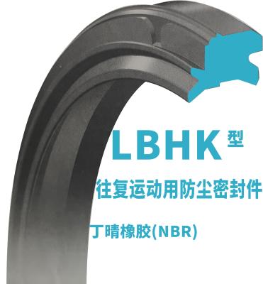 China LBHK Dust Seal for sale