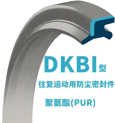 China DKBI Dust Seal for sale