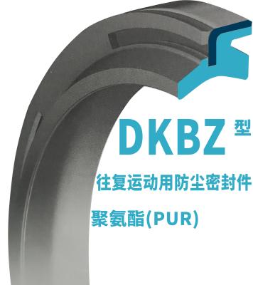 China DKBZ Dust Wiper Seal for sale