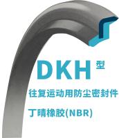 China DKH Wiper Seal for sale