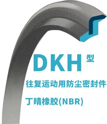 China DKH Wiper Seal for sale