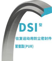 China DSI Cylinder Dust Seal for sale