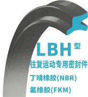 China LBH Dust Sealing for sale