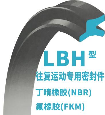 China LBH Dust Sealing for sale