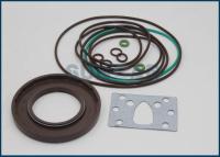 China Main Pump Seal Kit Repair Suit For A4GO71 Anti-Leak High Performance for sale