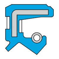 China TC Oil Seal Rotary Seal Standard Shaft Seal for sale