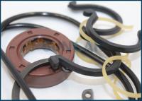 China 4487340 Gear Pump Repair Kit Oil Seal Kits Suit To Hitachi ZX450 EX200-2 for sale