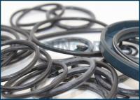 China 209-5921 2095921 CA2095921 Hydraulic Pump Seal Kit Fits C-A-T E330C for sale
