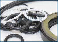China Hyundai 31EN-10031 31EN10031 Hydraulic Motor Seal Kit For Swing Motor R245-7 260-7 for sale