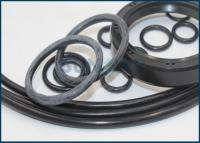 China VOE14601385 VOE 14601385 Swing Motor Seal Kit For EC250D EC300D for sale