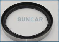 China 4416076 DB Type Oil Seal For Swing Device HITACHI Excavator EX200-5 RX2300 for sale