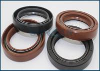 China 4333170 4176958 DC Oil Seal Rotary Shaft Seals For HITACHI EX200-5 for sale