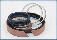 China VOE 11707024 VOE11707024 11707024 Cylinder Seal Kit Fits SUNCARSUNCARVOLVO L120D for sale