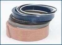 China VOE 11999892 VOE11999892 Sealing Kit For SUNCARVOLVO Heavy Tilting Hydraulic Cylinder L120C L120D for sale