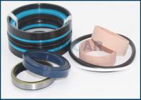China VOE 11990398 VOE11990398 Cylinder Seal Repair Kit For SUNCARSUNCARVOLVO Wheel Loader for sale