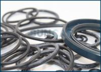 China Hydraulic Pump Seal Service Kit For Excavators REXROTH A8VO200 for sale
