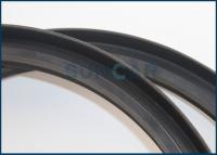 China 4334750 4424980 Oil Seal For Swing Device HITACHI EX400-3 EX400-5 for sale