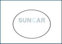 China CA2K3258 2K-3258 2K3258 Back Up Ring Support Ring Seal for C-A-T Equipment for sale