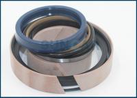 China VOE11708734 VOE 11708734 Hoist Cylinder Seal Repair Kit For A40D A35D for sale