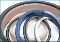 China VOE11705882 11705882 VOE 11705882 Lift Cylinder Sealing Kit Fits SUNCARSUNCARVOLVO for sale