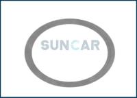 China CA8J6213 8J-6213 8J6213 C-A-T Piston Seal Fits Compact Wheel Loader Motor Grader for sale