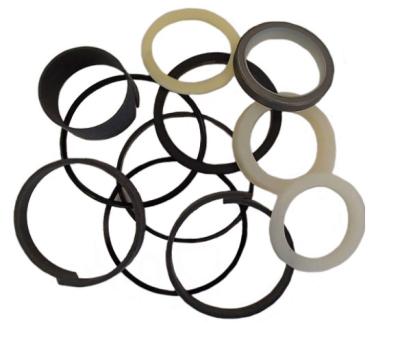 China LZ008420 Boom Cylinder Seal Repair Kit Fits CNH CX290B CX300C for sale