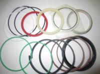 China PS01V00005R300 Dozer Cylinder Piston Seal Repair Kit for CNH for sale