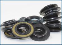China AR8510E Oil Seal SVY Spool Seal Control Valve Lever Main Seal for sale