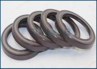 China CFW 60*80*10 BABSL Oil Seal Shaft Seals FKM Quality High Performance for sale