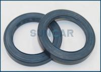 China 40412519 Skeleton Oil Seal For A10VSO100 Main Pump Radial Shaft Seal for sale