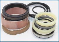 China VOE 14589150 VOE14589150 Bucket Cylinder Service Kit For SUNCARSUNCARVOLVO EC55B for sale