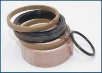 China VOE 14589152 VOE14589152 Boom Swing Cylinder Service Kit for SUNCARSUNCARVOLVO EC55C EW60E EW55 for sale