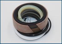 China VOE 14589152 VOE14589152 Boom Swing Cylinder Service Kit for SUNCARSUNCARVOLVO EC55C EW60E EW55 for sale