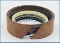 China CA1163612 116-3612 1163612 Arm Cylinder Seal Kit For C-A-T E322B 322BL for sale