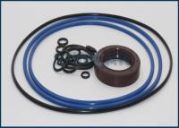 China 39Q6-41810 39Q641810 Travel Motor Seal Kit For HYUNDAI R210LC-9 R220LC-9 for sale