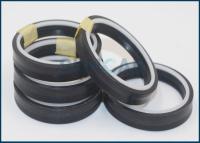 China TSE/AI-2074 Piston Rod Sealing 236196/1/AI For Hydraulic Cylinder for sale