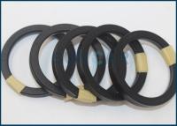 China TSE/AI-2074 Piston Rod Sealing 236196/1/AI For Hydraulic Cylinder for sale