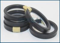 China TSE/AI-2074 Piston Rod Sealing 236196/1/AI For Hydraulic Cylinder for sale