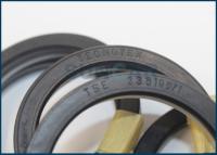 China TSE/AI-2074 Piston Rod Sealing 236196/1/AI For Hydraulic Cylinder for sale