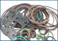 China Rexroth A4VG56 Main Pump Seal Repair Kit For Hydraulic Piston Pump for sale