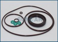 China A11VO40 Rexroth Main Pump Seal Repair Kit for sale