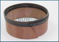 China CA2003498 200-3498 2003498 Hydraulic Cylinder Seal Repair Kit for sale
