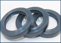 China BABSL CFW 40412478 Skeleton Oil Seal NBR FKM Material High Pressure for sale