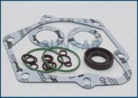 China PVE1-21 Main Pump Seal Repair Kit for sale
