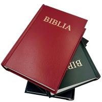China custom hardcover bible printing -black and white color for sale