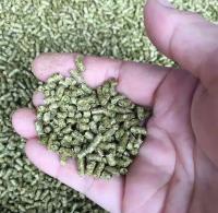 China Livestock Chicken Rabbit Small Feed Pellet Machine 90-150kg/H for sale