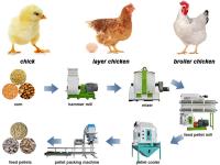 China 380V 50Hz Feed Pellet Production Line 2mm To 10mm Animal Feed Pelletizer for sale