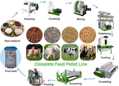 China 1-10 TPH Livestock Poultry Feed Production Line Animal Feed Processing Machine for sale